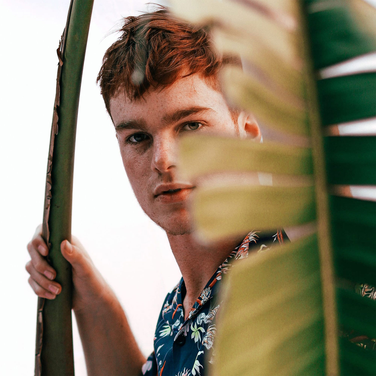 Fullseeomics – Eco-Friendly Omics Data Platform